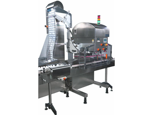 Filling & Capping Line - Triveni Packaging